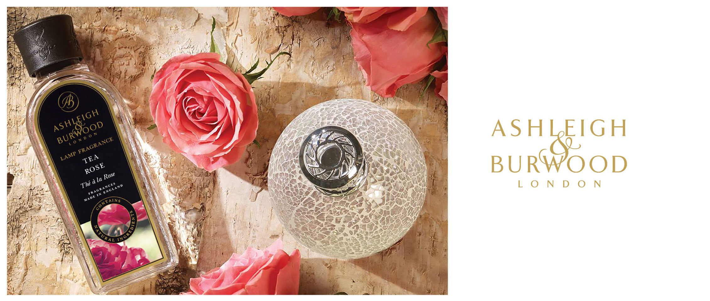 tsefil / TOPページ